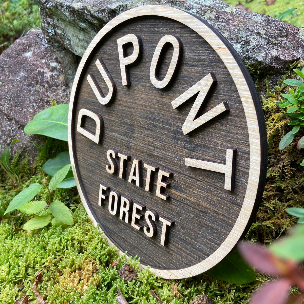DuPont State Forest Sign – Ecusta Creative