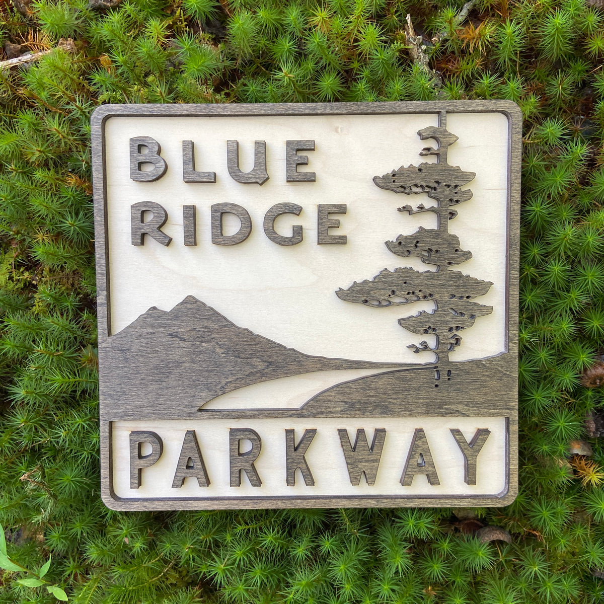 Blue Ridge Parkway Sign - 8"W – Ecusta Creative